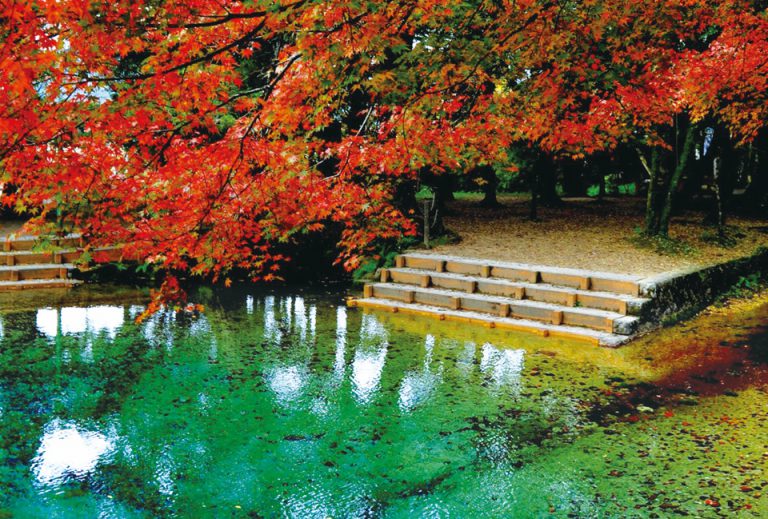 【山口県】やまぐちの紅葉めぐり～人気スポットBEST10！～ - 地元情報誌が山口県を深堀していくウェブマガジン